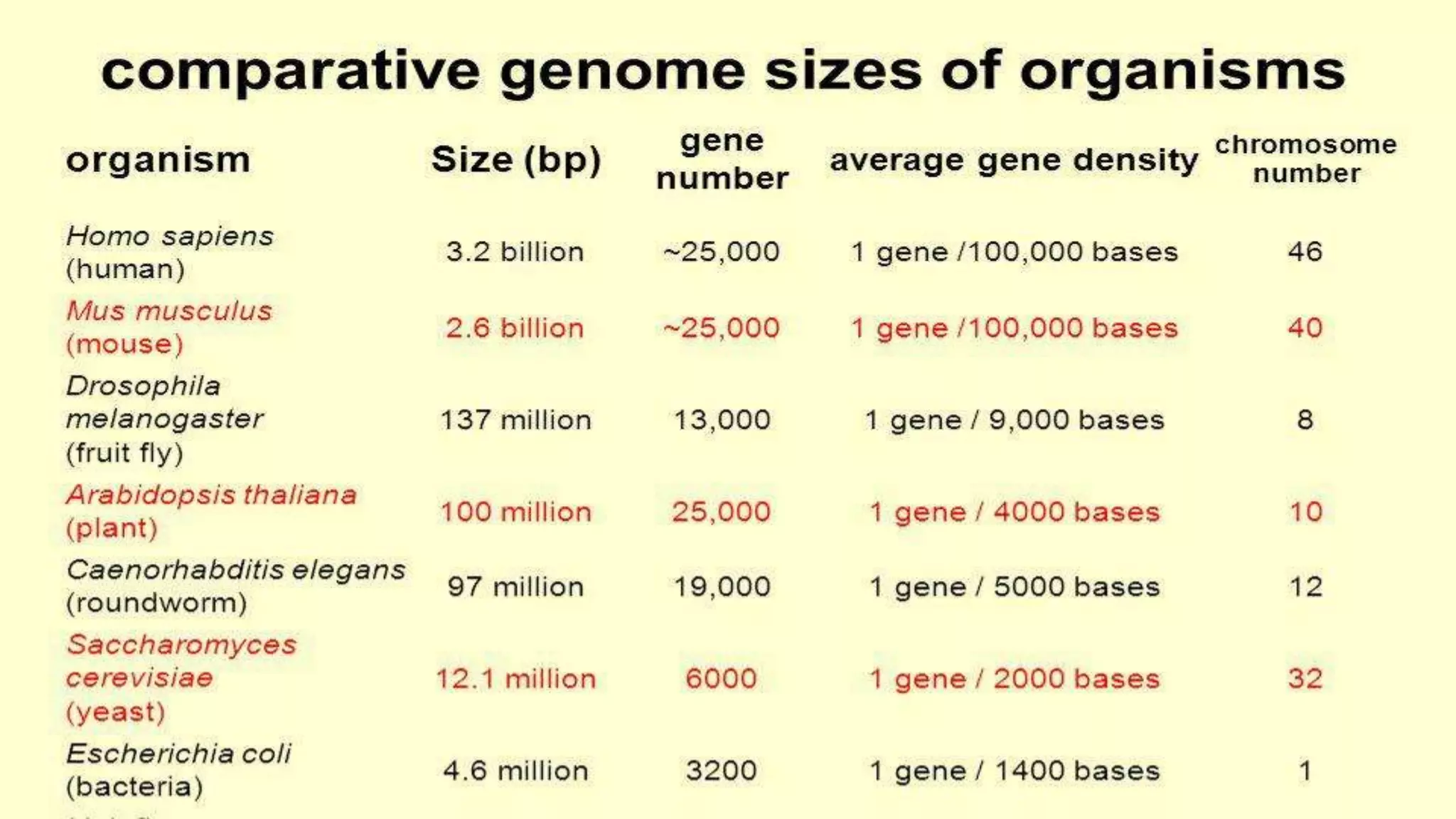 Genome size and complexity of eukaryotic genome.pptx