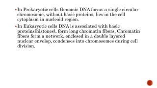 Genome size and complexity of eukaryotic genome.pptx