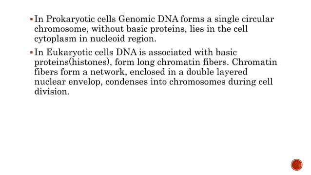 Genome size and complexity of eukaryotic genome.pptx | Biological Sciences | Science