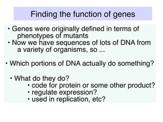 Genome structure | PDF