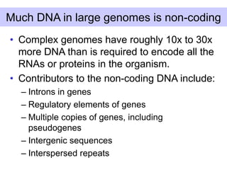 GENOME_STRUCTURE1.ppt