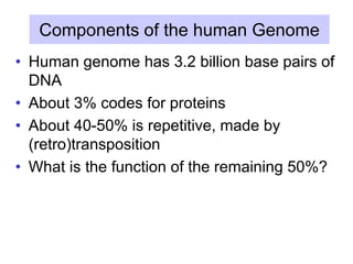 GENOME_STRUCTURE1.ppt
