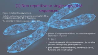genome structure and repetitive sequence.pdf