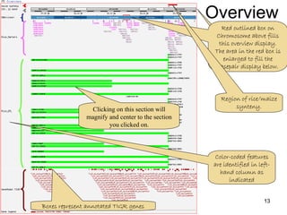 Gramene tutorial | PDF | Genetics | Science
