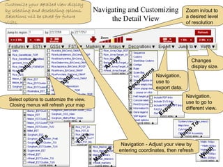 Gramene tutorial | PDF | Genetics | Science