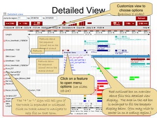 Gramene tutorial | PDF | Genetics | Science