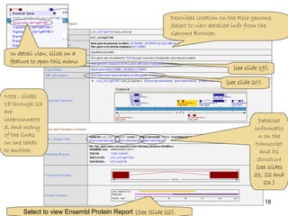 Gramene tutorial | PDF | Genetics | Science