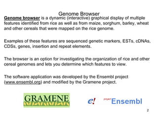 Gramene tutorial | PDF | Genetics | Science