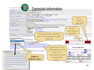 Gramene tutorial | PPT