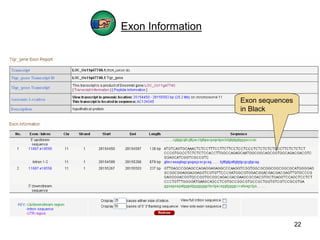 Gramene tutorial | PDF | Genetics | Science