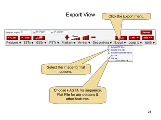 Gramene tutorial | PDF | Genetics | Science