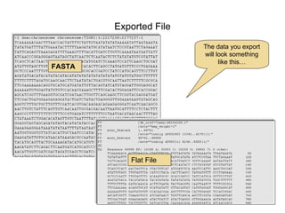 Gramene tutorial | PDF | Genetics | Science