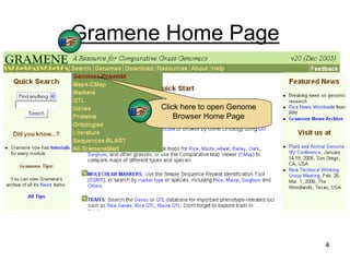Gramene tutorial | PDF | Genetics | Science