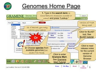 Gramene tutorial | PDF | Genetics | Science