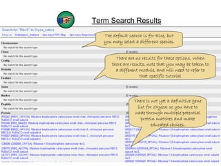 Gramene tutorial | PDF | Genetics | Science