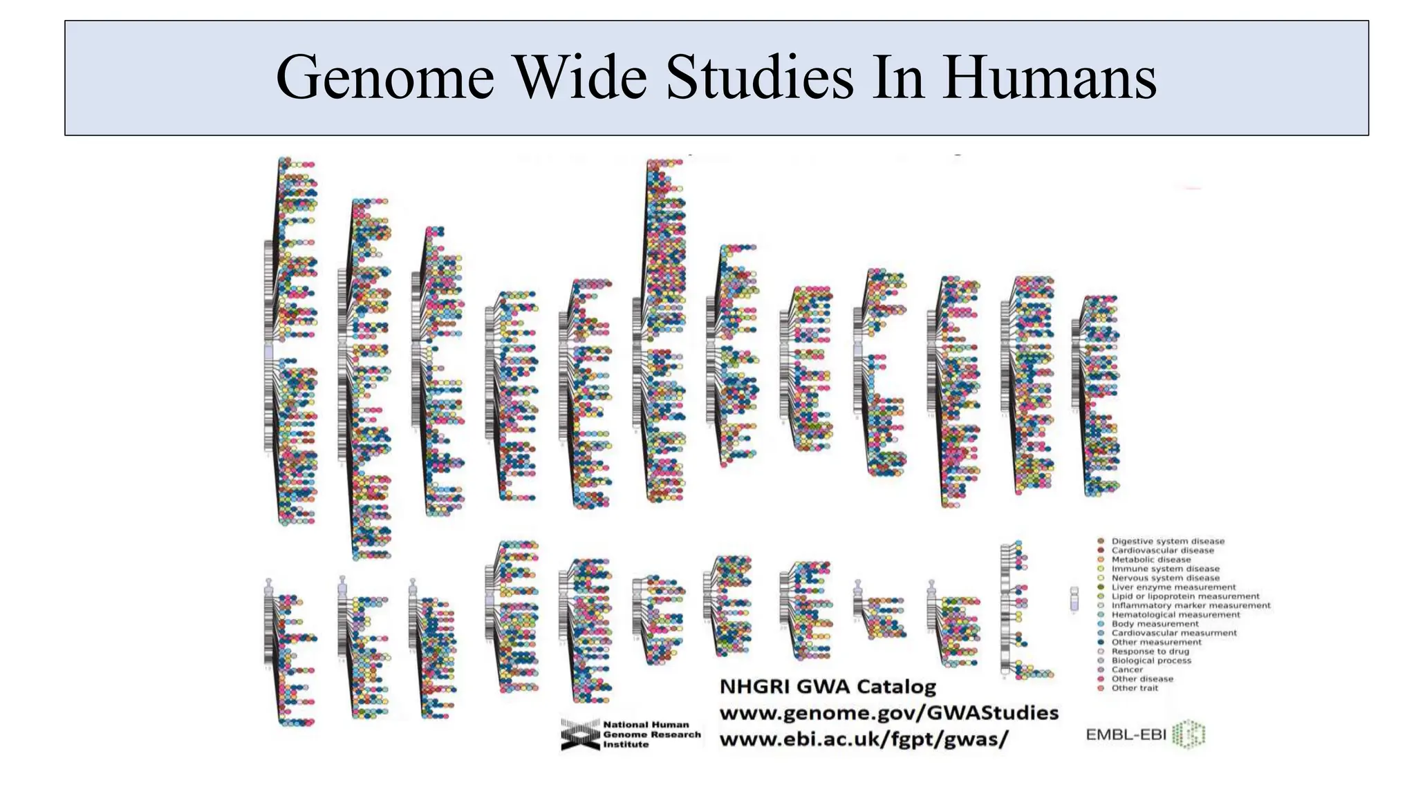 Genome wide Association studies.pptx