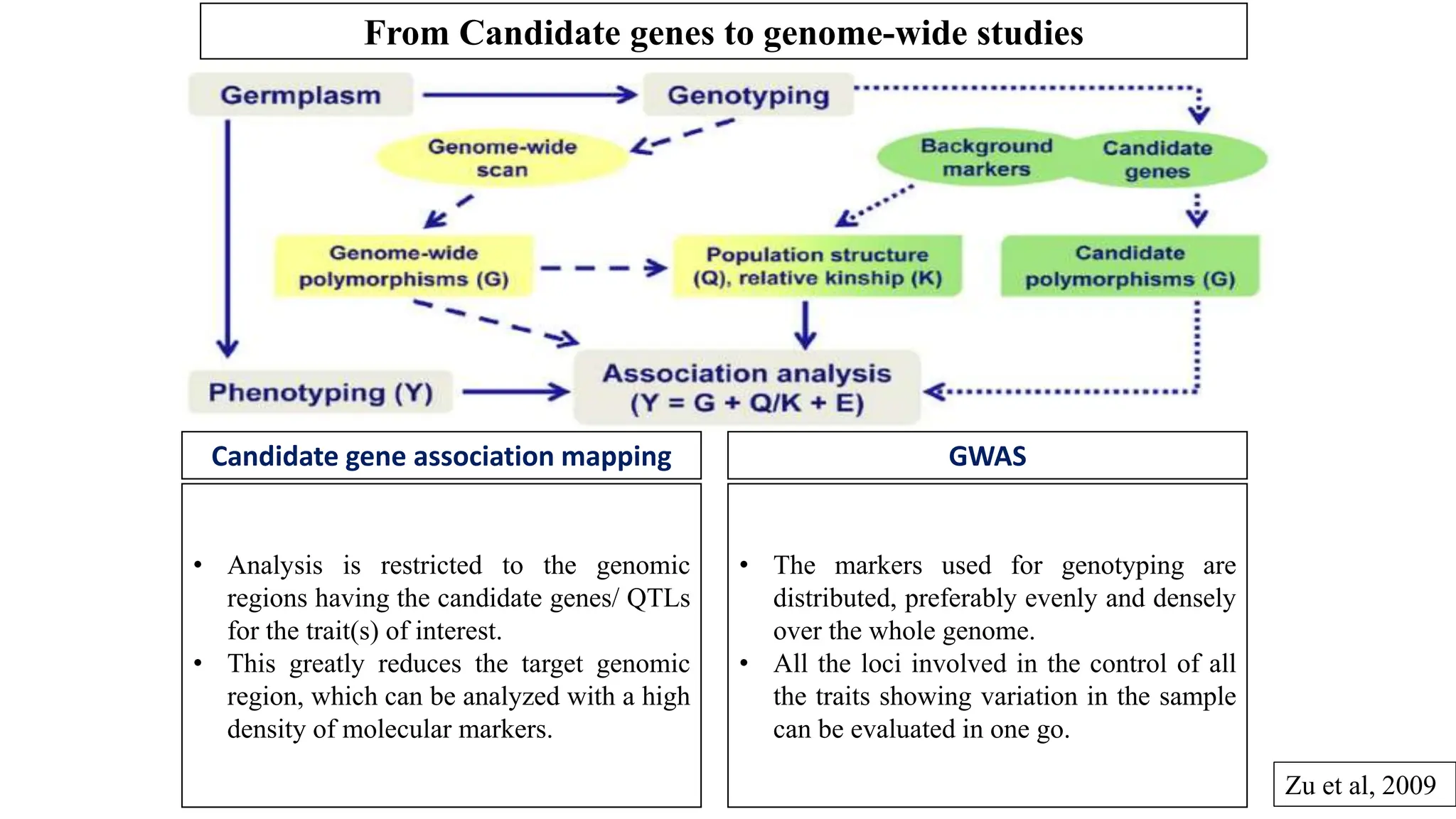 Genome wide Association studies.pptx