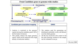 Genome wide Association studies.pptx