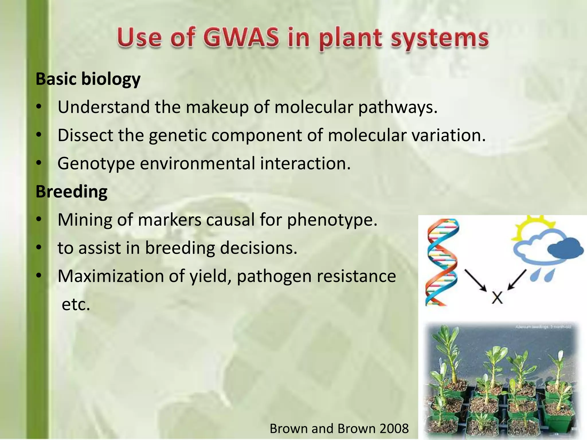 Genome wide association studies seminar | PPTX