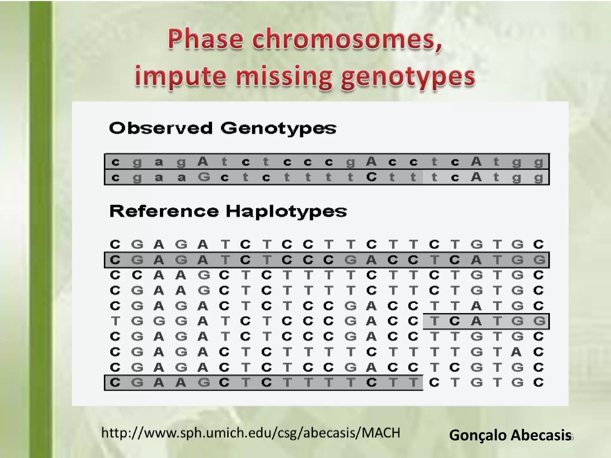 Genome wide association studies seminar | PPTX