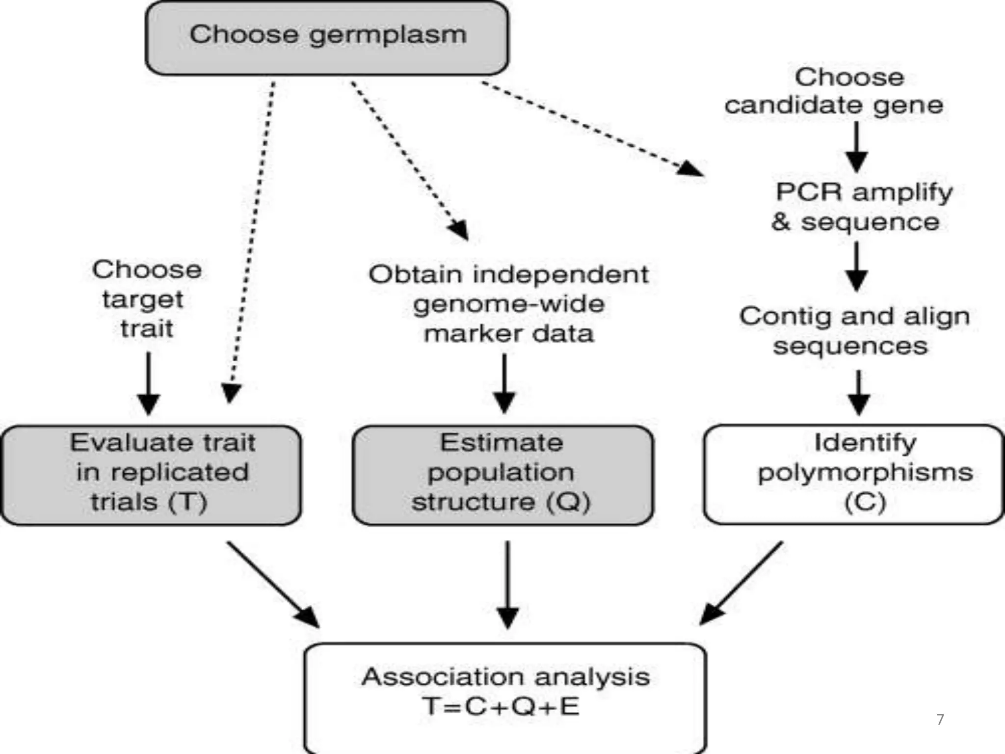Genome wide association studies seminar | PPTX