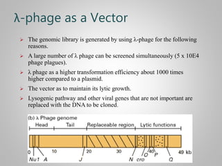 Genomic and c dna libraries | PPTX