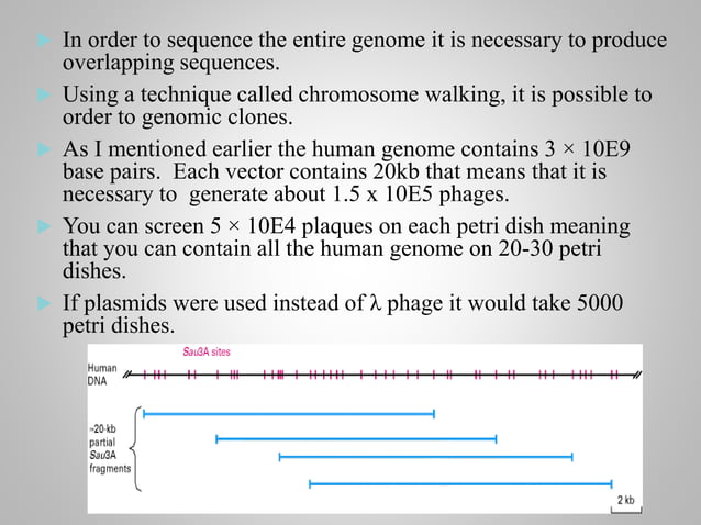 Genomic and c dna libraries | PPTX | Biological Sciences | Science