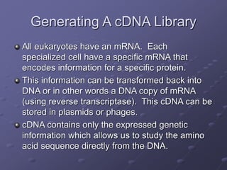 Genomic and cDNA Libraries.ppt