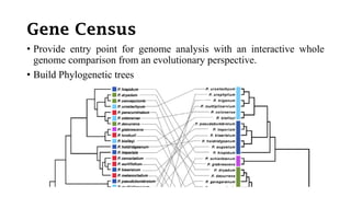 Genomic databases | PDF