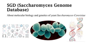 Genomic databases | PDF