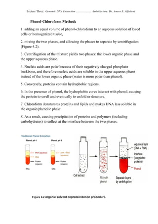 Whole Genomic DNA extraction lecture | PDF
