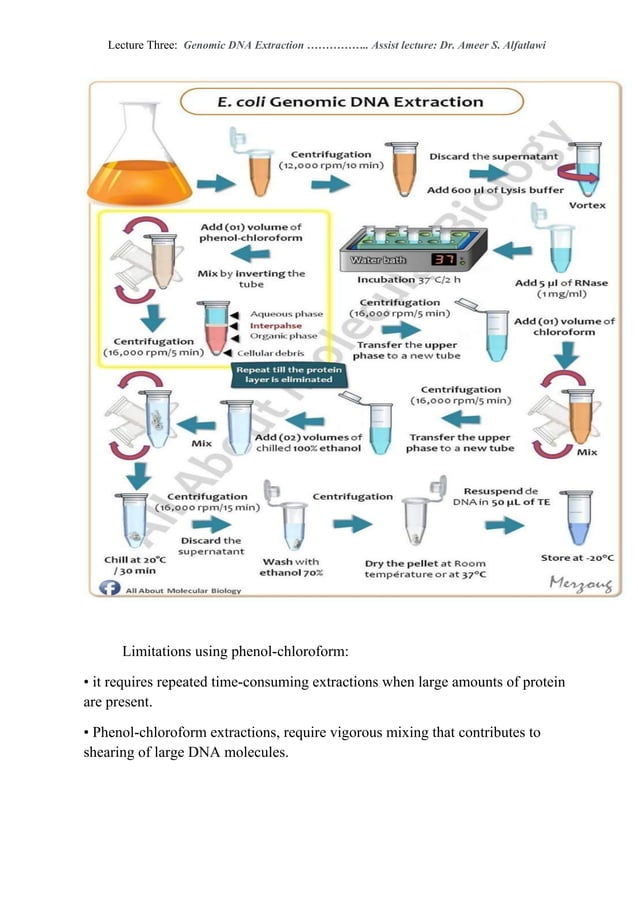 Whole Genomic DNA extraction lecture | PDF | Biological Sciences | Science