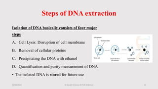 Genomic DNA Isolation.pptx