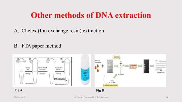 Genomic DNA Isolation.pptx | Biological Sciences | Science