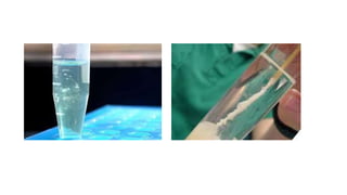 Genomic DNA isolation Presentation for Teachers | PPTX