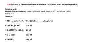 Genomic DNA isolation Presentation for Teachers | PPTX
