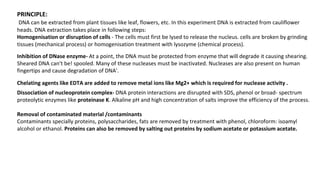 Genomic DNA isolation Presentation for Teachers | PPTX