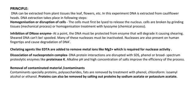 Genomic DNA isolation Presentation for Teachers | PPTX