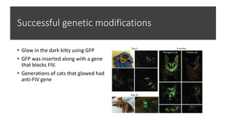 Genomic editing presentation | PPTX