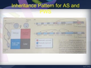 Genomic imprinting | PPTX