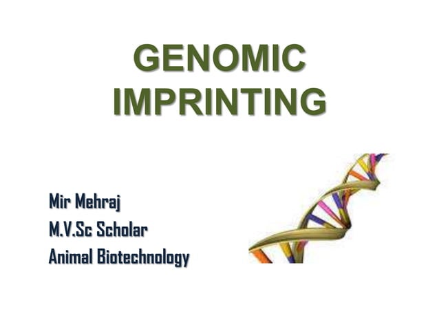 Genomic imprinting | PPTX | Genetics | Science
