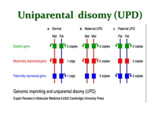 Genomic imprinting | PPTX