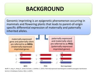 Genomic imprinting | PPTX