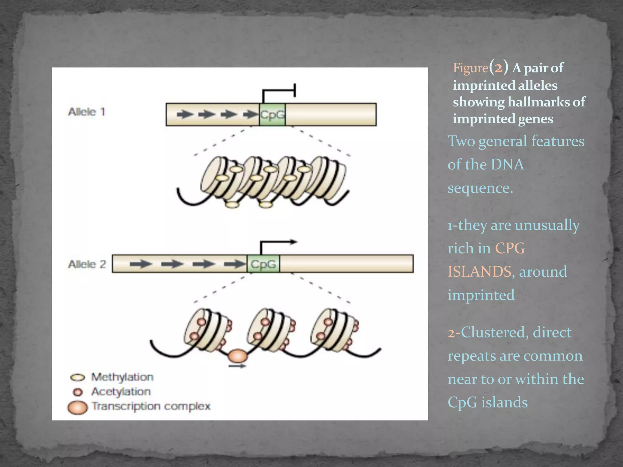 Genomic imprinting | PPTX