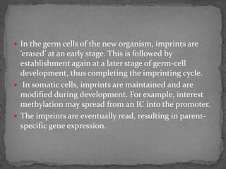 Genomic imprinting | PPTX