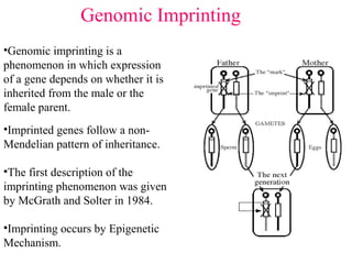 Genomic Imprinting and the syndrome caused by the imprint | PDF