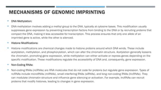 Genomic imprinting and it's effect on development | PPTX