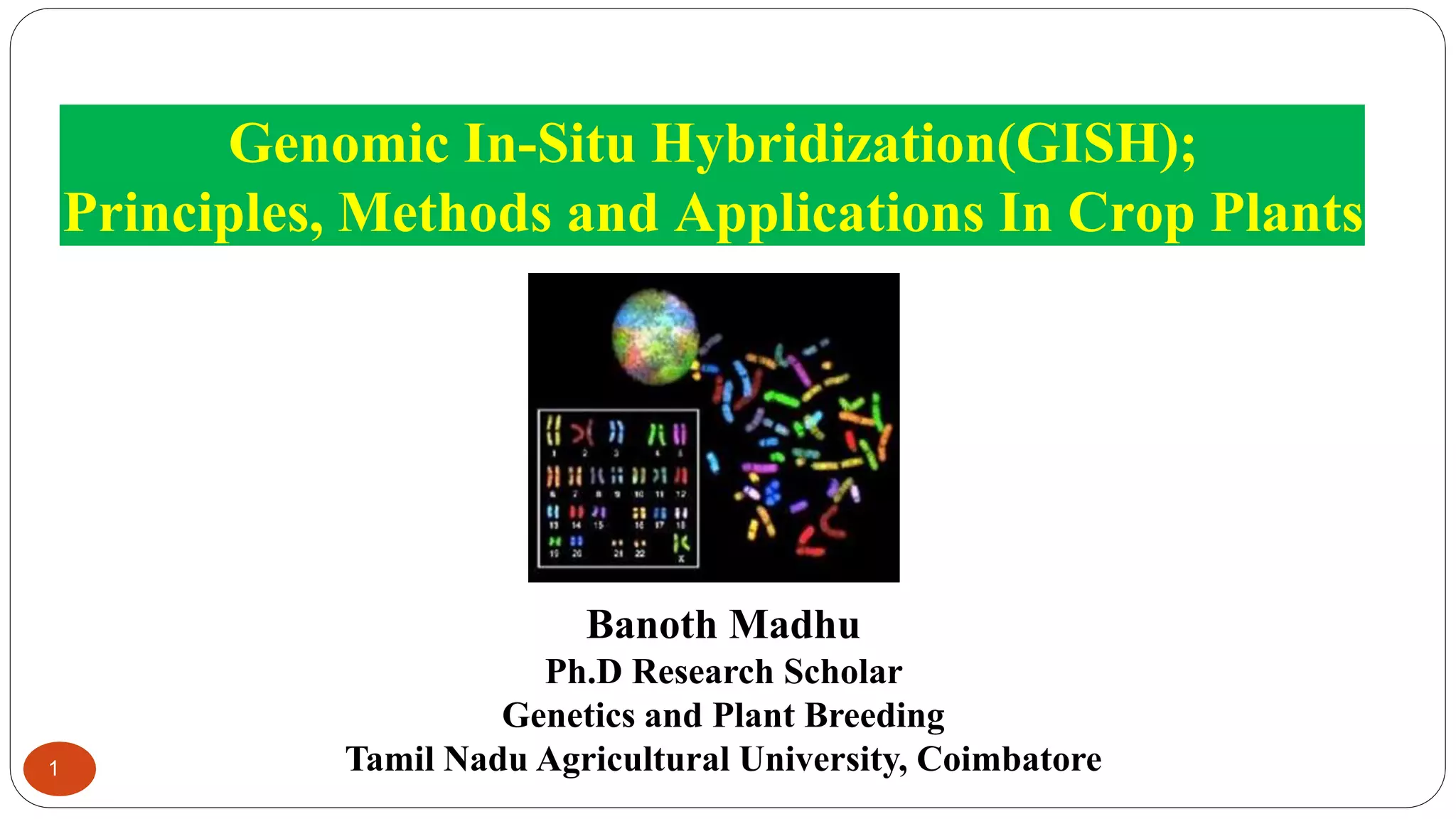 Genomic In-Situ Hybridization (GISH)-Principles, Methods and Applications in Crop Plants.pptx