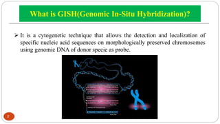 Genomic In-Situ Hybridization (GISH)-Principles, Methods and Applications in Crop Plants.pptx