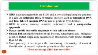 Genomic In-Situ Hybridization (GISH)-Principles, Methods and ...